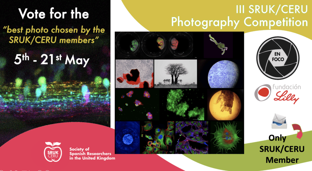 Opportunities - SRUK/CERU