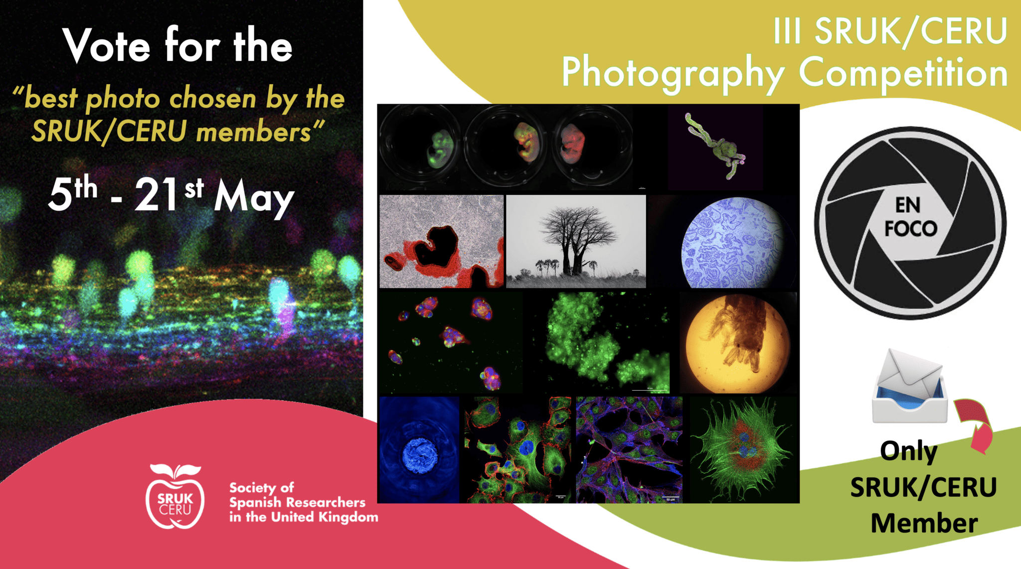FINALISTS 2023 - ‘Investigación En Foco’ III SRUK/CERU Photography ...